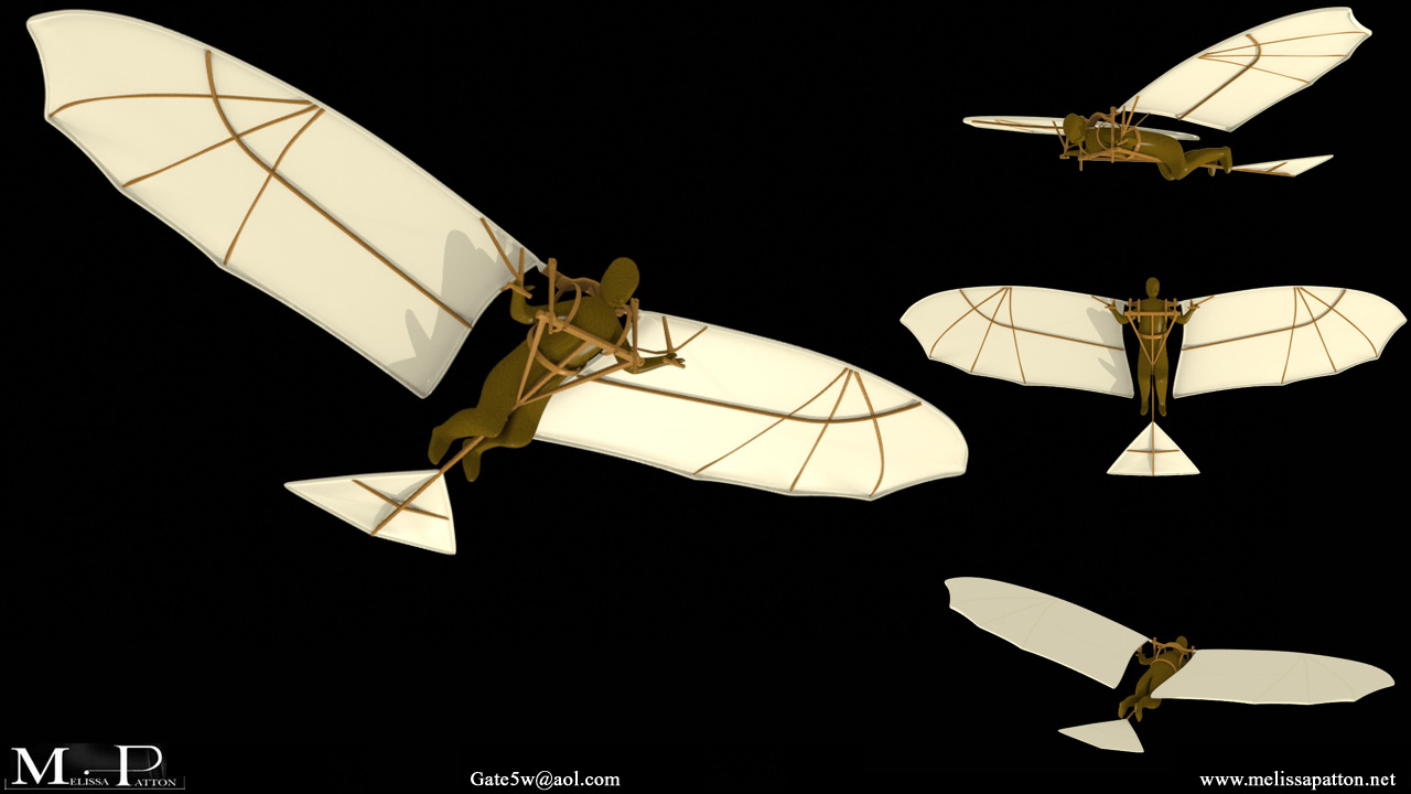 Ornithopter - JungleKey.fr Image